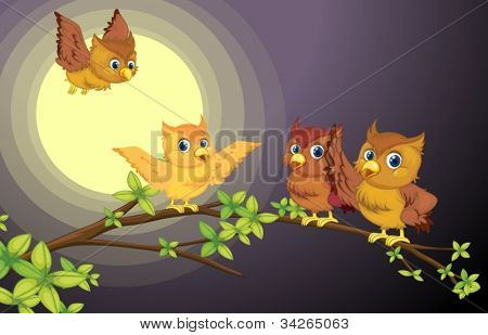 Lechuza en rama vector - Imagui