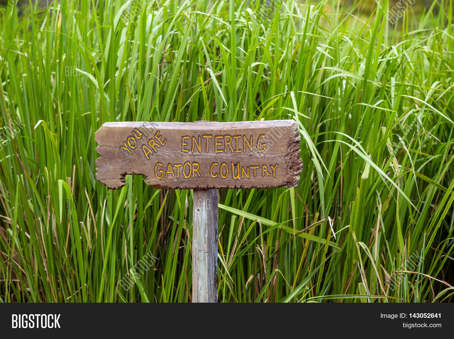 Trveling Sign Swamp Tour New Image & Photo | Bigstock