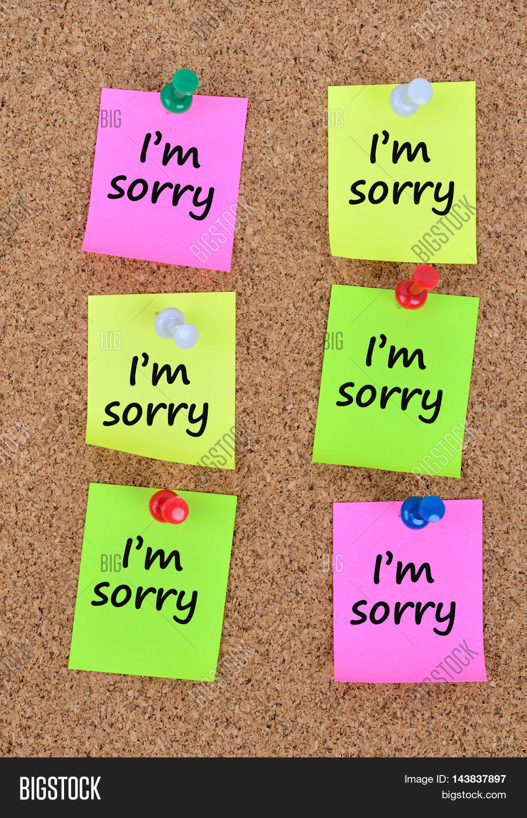 Words Sorry On Colorful Notes Image & Photo | Bigstock