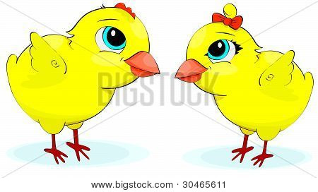 Fotos animadas de pollitos - Imagui