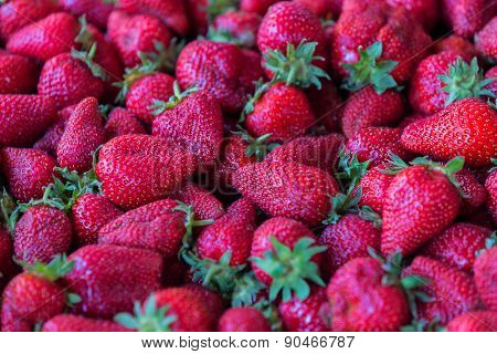 strawberry图片,strawberry,strawberrm_大山谷图库