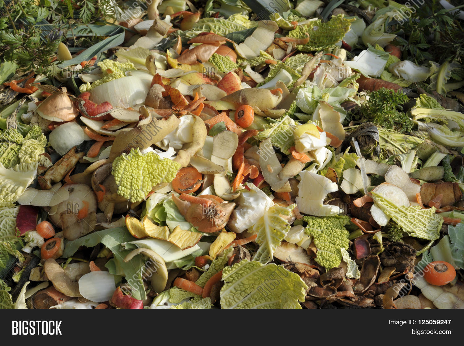 Household Raw Food Waste, Image & Photo | Bigstock