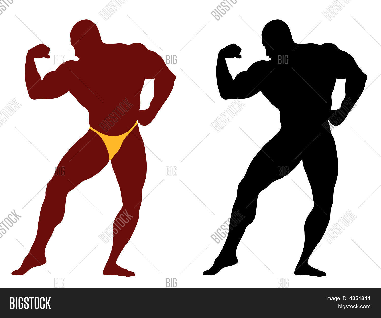 Bodybuilding Vector & Photo | Bigstock