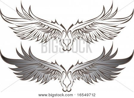 Alas vectorizadas - Imagui