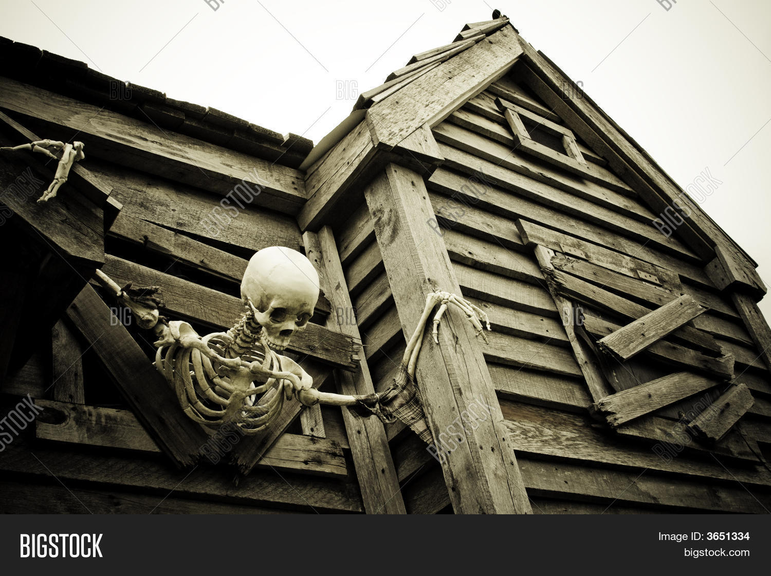 Scary Skeleton Image & Photo | Bigstock