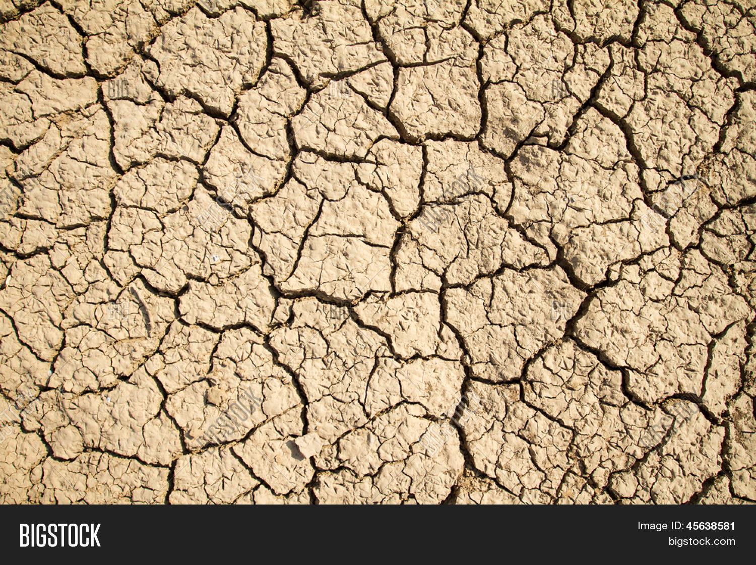Dry cracked earth background Stock Photo & Stock Images | Bigstock