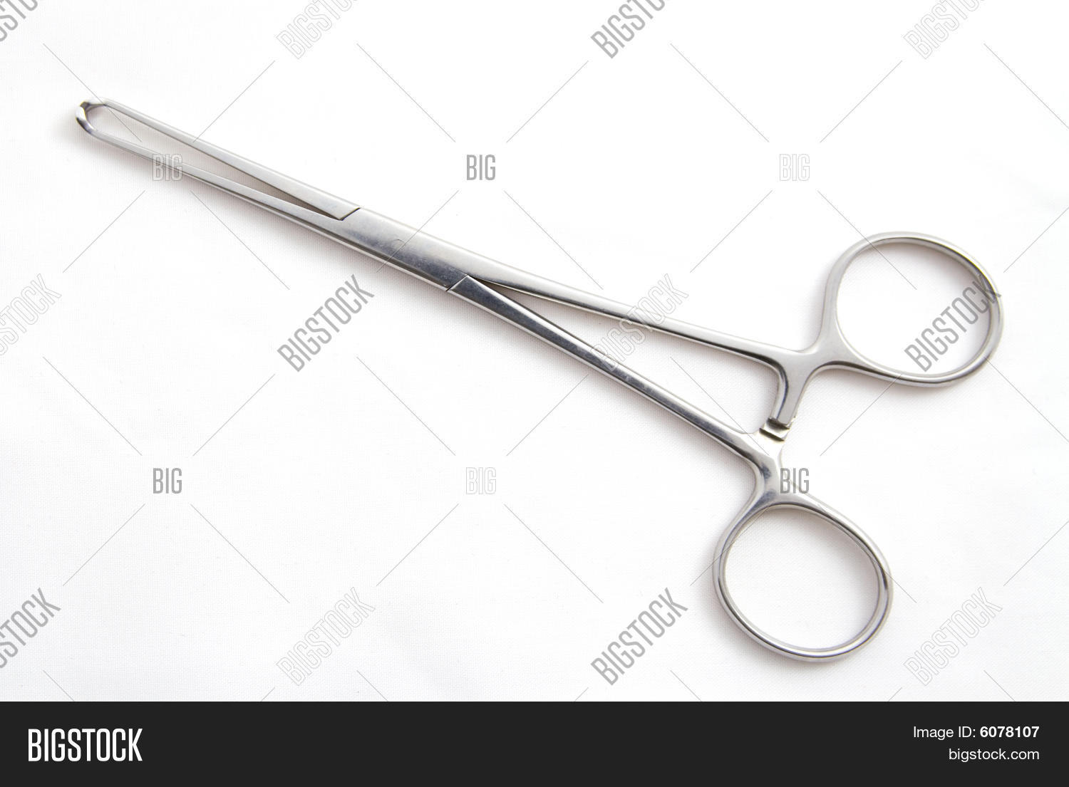 Alice Tissue Forceps Closed Image & Photo | Bigstock