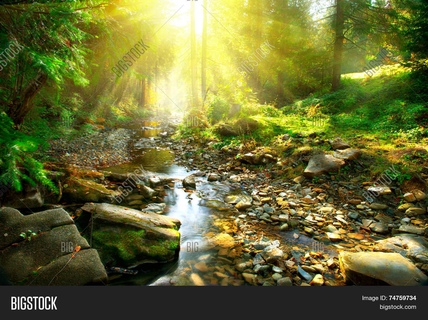 Mountain River with, forest landscape. Tranquil waterfall scenery in ...