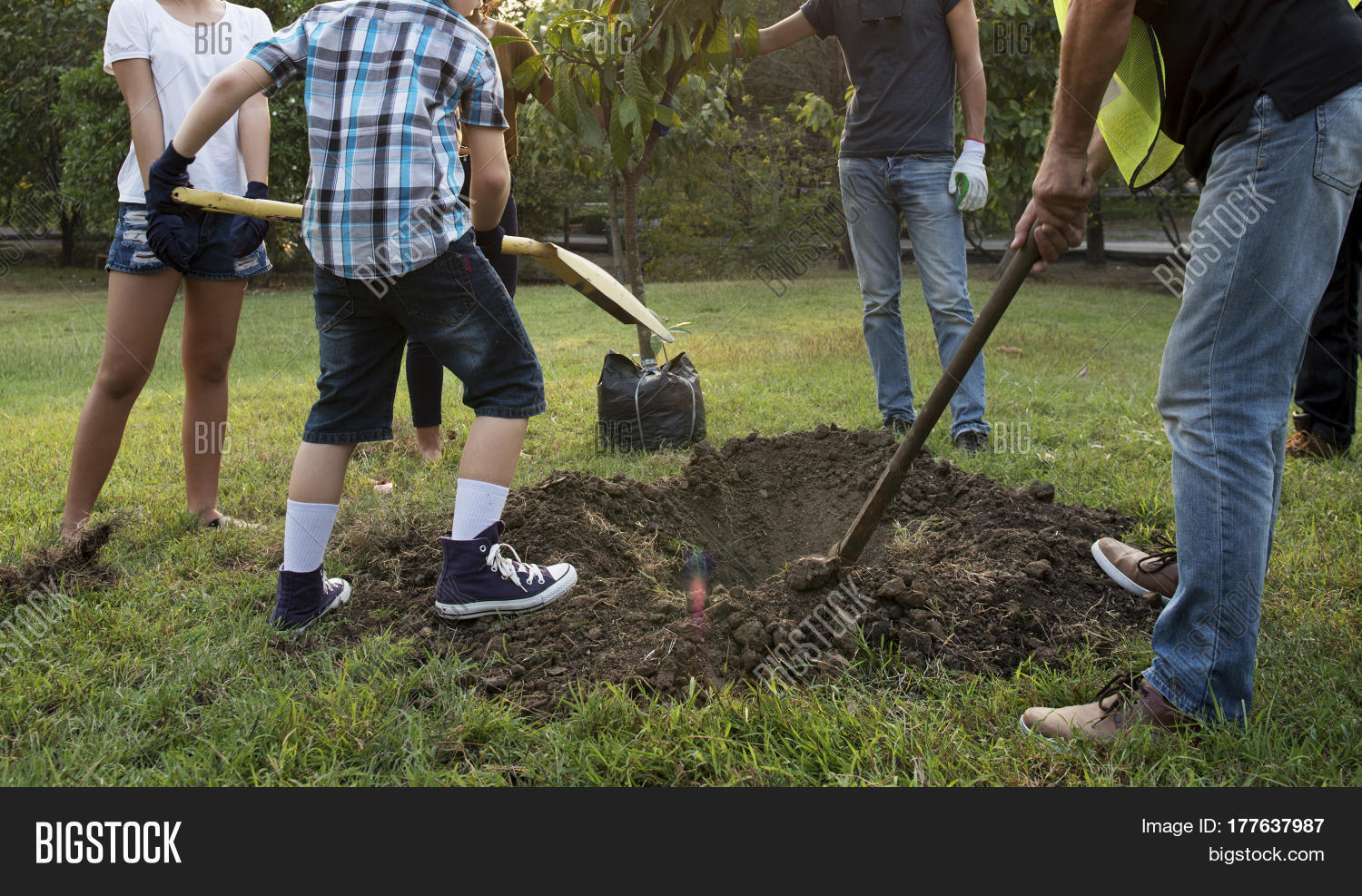 Group Diverse People Digging Hole Image & Photo | Bigstock