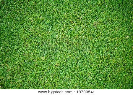Overhead view of grass field Stock Photo & Stock Images | Bigstock