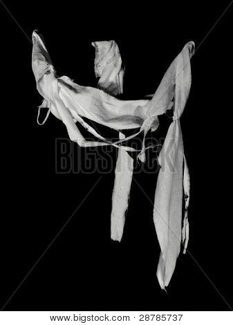 Torn Fabric Stock Photo & Stock Images | Bigstock