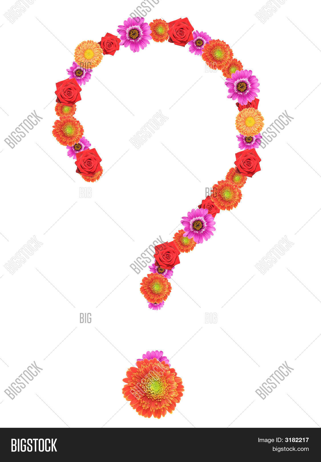 Question Mark Made With Flowers Stock Photo & Stock Images | Bigstock