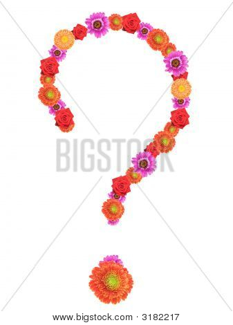 Question Mark Made With Flowers Stock Photo & Stock Images | Bigstock