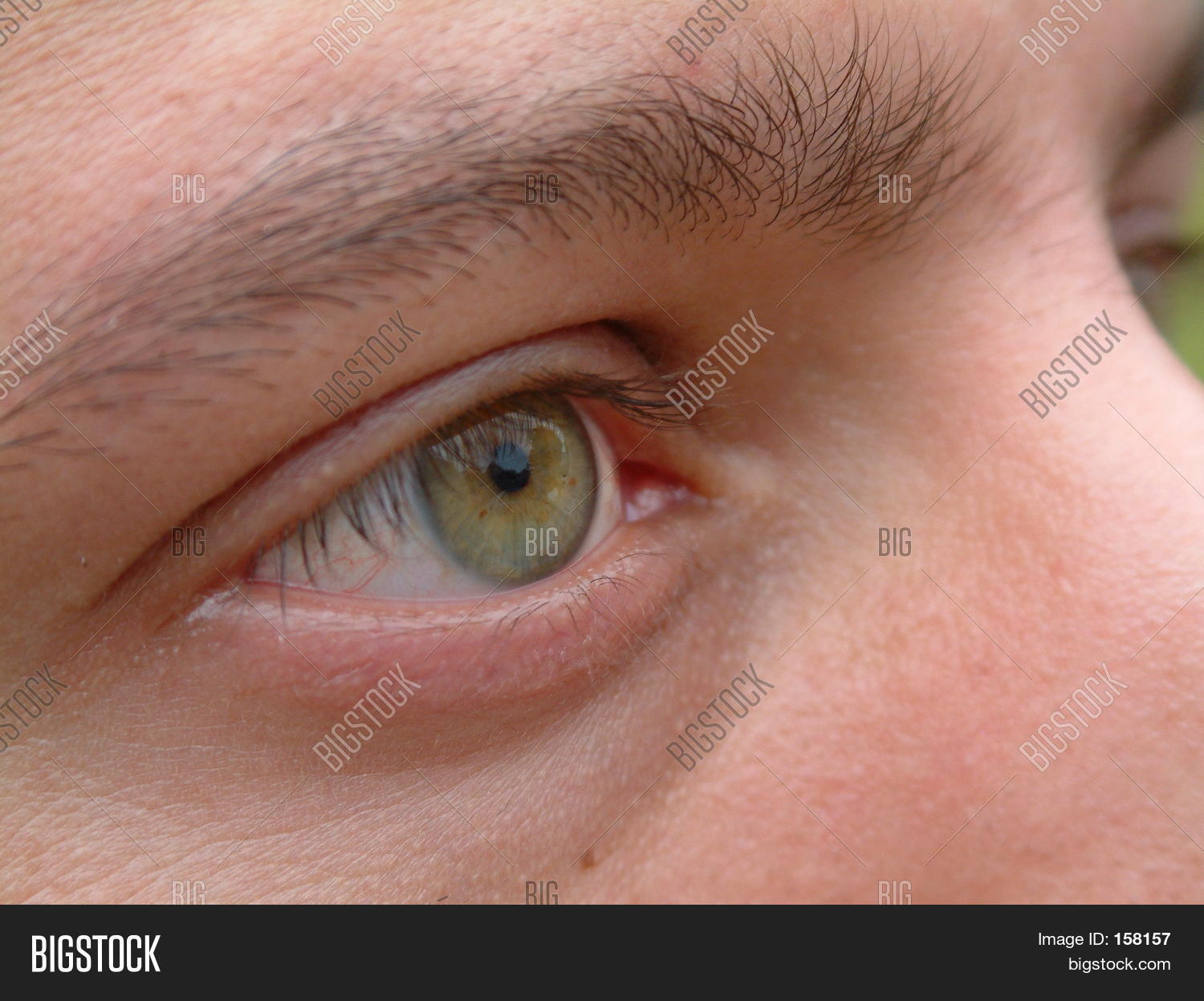 Profile Handsome Man W/ Green Eyes Image & Photo | Bigstock