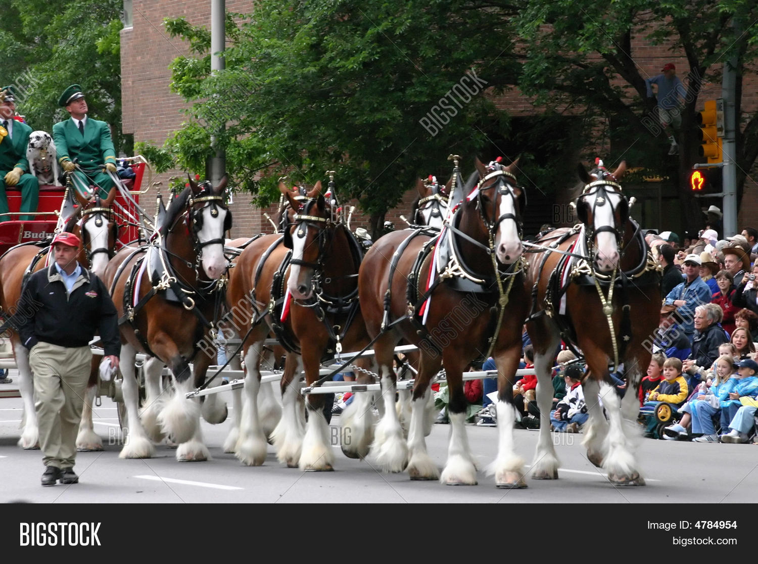 Clydesdale Horses Pulling Wagon Stock Photo & Stock Images | Bigstock