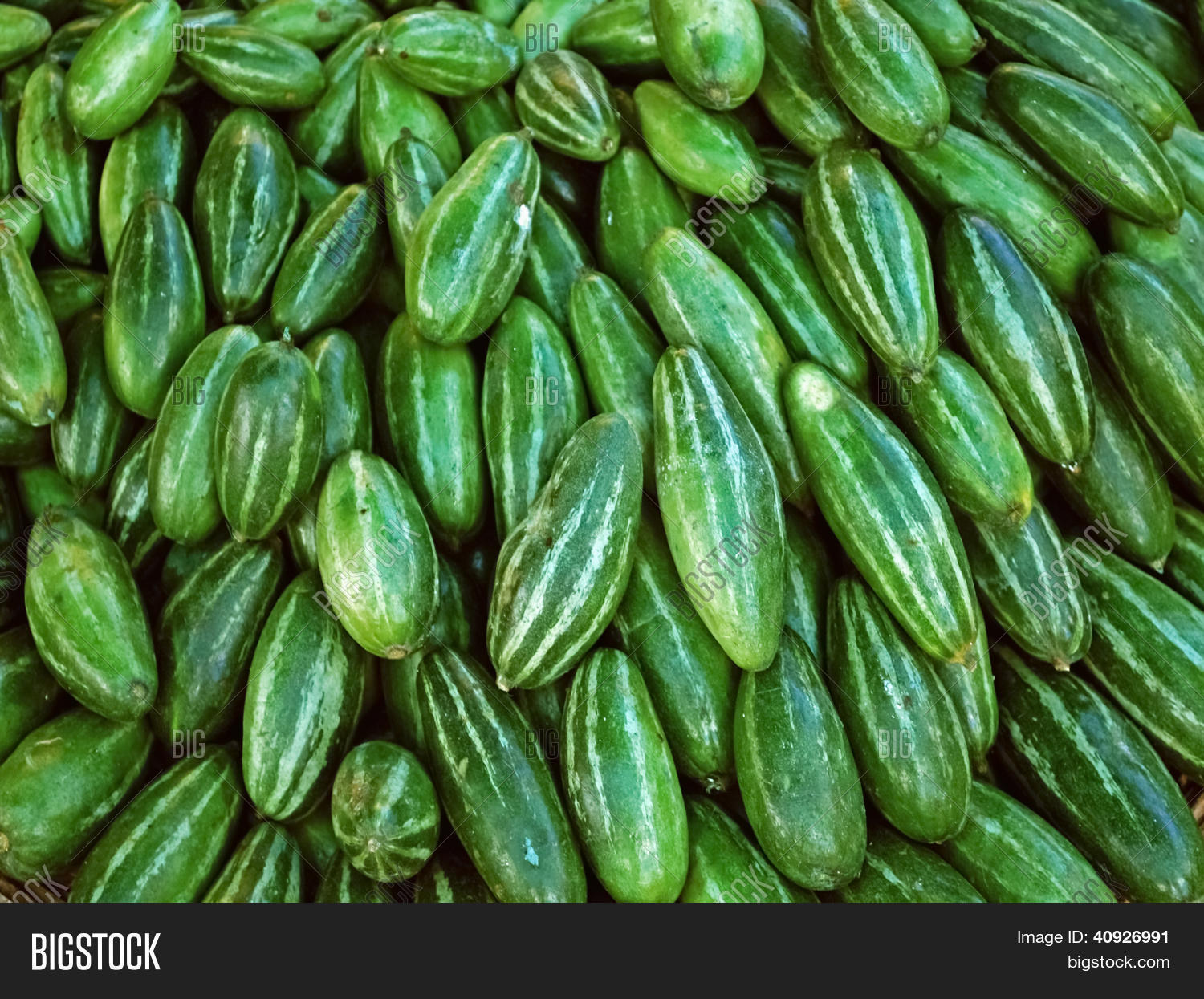 Vegetable, Seven Striped Pear Image & Photo | Bigstock