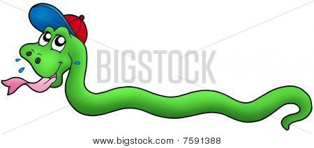 Culebra animada - Imagui