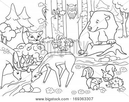 Biodiversity Coloring Coloring Pages
